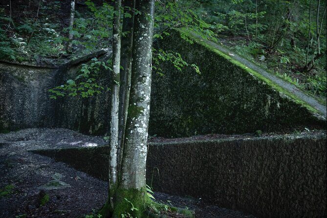 Eagle's Nest-Berchtesgaden-Obersalzberg Private Half Day WWII Historical Tour - FAQ