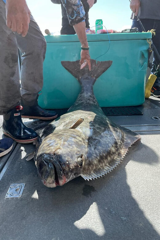 Ear Mountain Charters tours: whale watching and fishing - FAQs