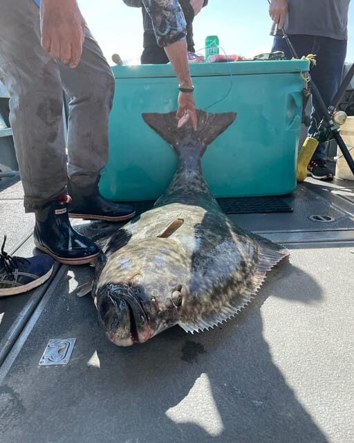 Ear Mountain Charters tours: whale watching or fishing - An In-Depth Look at the Tour Experience