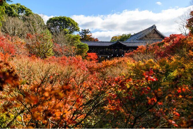 Early Bird E-biking through East Kyoto - Who Will Love This Tour?