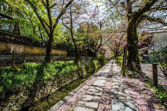 Early Bird E-biking through East Kyoto - FAQ Section