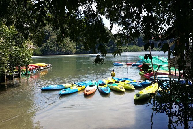 Early bird kayak at AO Thalane - Who Will Love This Tour?