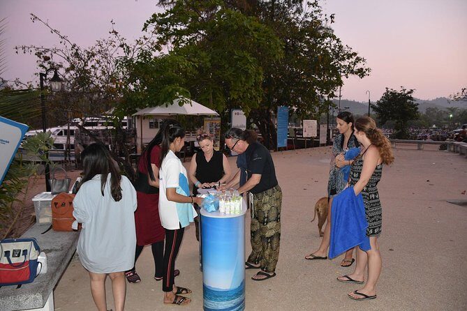 Early Bird Phi Phi Island & 4 Islands Speed Boat Tour from Krabi - The Logistics and What It Means for You