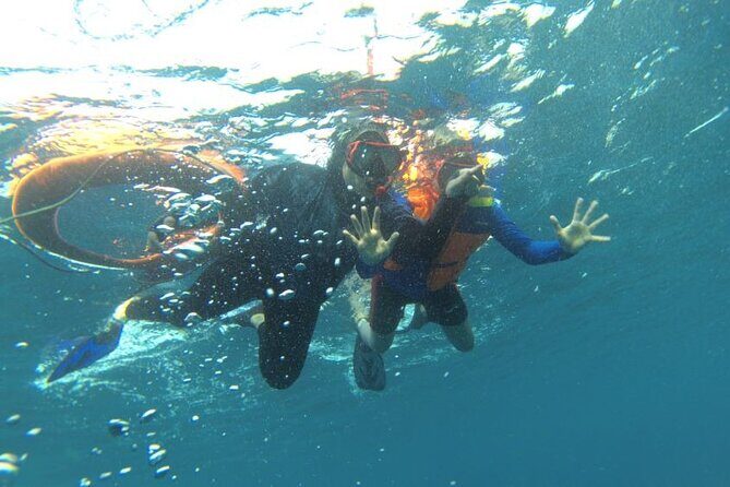 Early Bird Speedboat Group Tour : Explore Komodo Ahead of Crowds - Final Thoughts