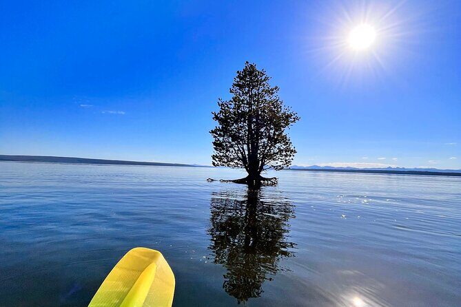 Early Morning Guided Kayak Tour - Exploring Yellowstone Lake from the Water: What to Expect