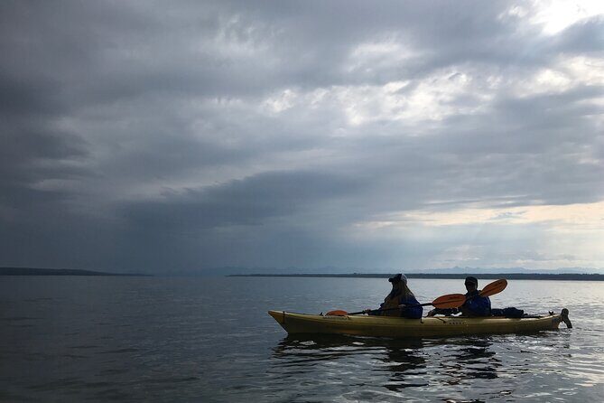 Early Morning Guided Kayak Tour - Analyzing the Value: Is It Worth the Price?