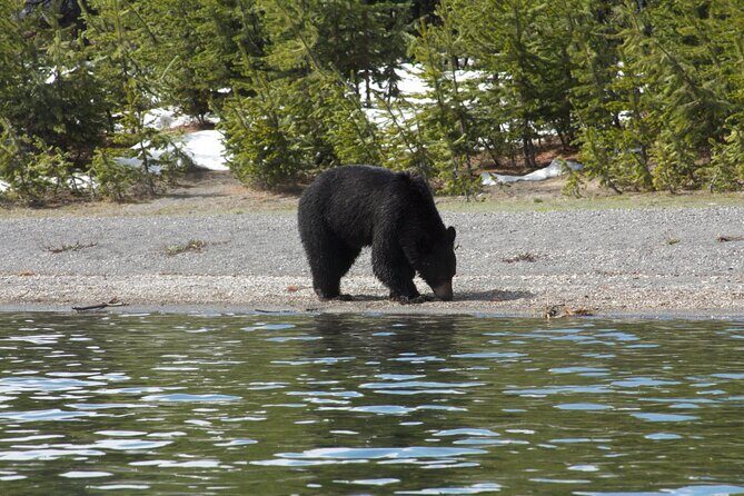 Early Morning Guided Kayak Tour - Who Will Love This Tour?