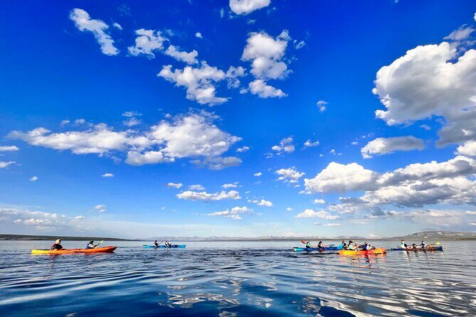 Early Morning Guided Kayak Tour - Final Thoughts