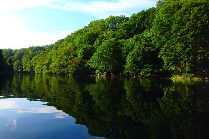 Early Morning Premium Private Clear-Bottom Kayak Tour - Authentic and Expert-Led