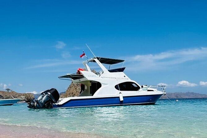 Early Morning Small-Group Komodo Speedboat Tour - An In-Depth Look at What You Can Expect