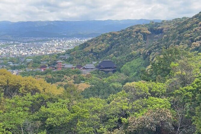 Early Morning Walking Tour: Historic Temples and Shrines - Who Should Book This Tour?
