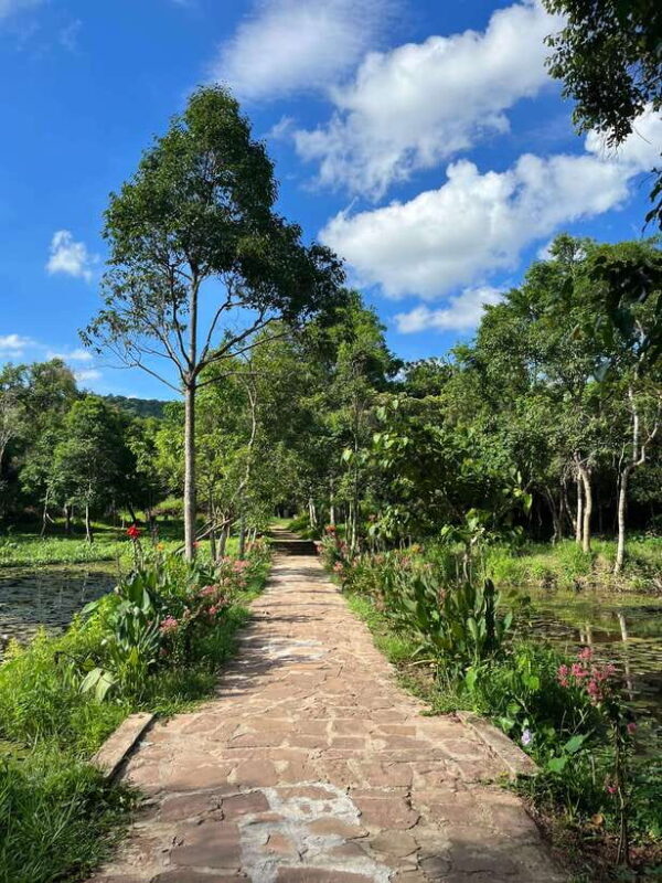 Early My Son tour/transfer to avoid crowd and the heat - Who Is This Tour Best For?