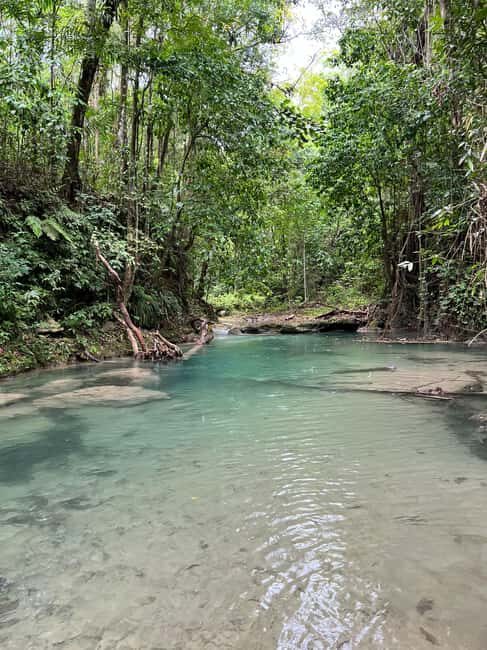 Earth Family Farms: Collier Gully Holistic River Nature Hike - Key Points