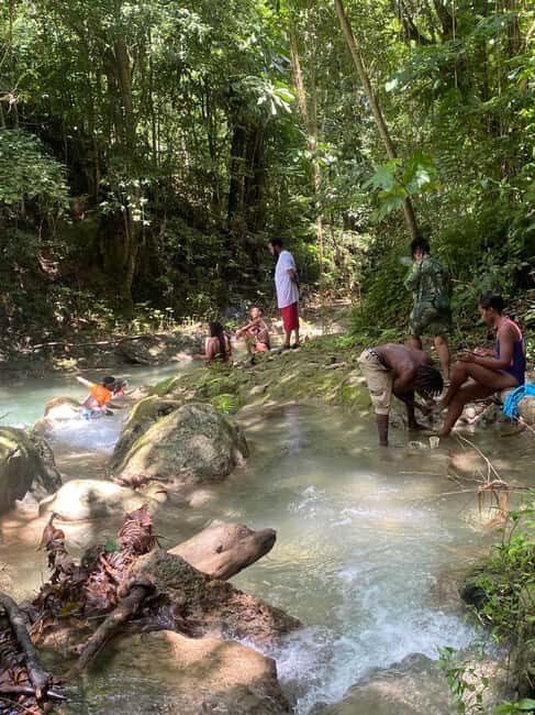 Earth Family Farms: Collier Gully Holistic River Nature Hike - Discovering Collier Gully: An Authentic Jamaican Natural Escape