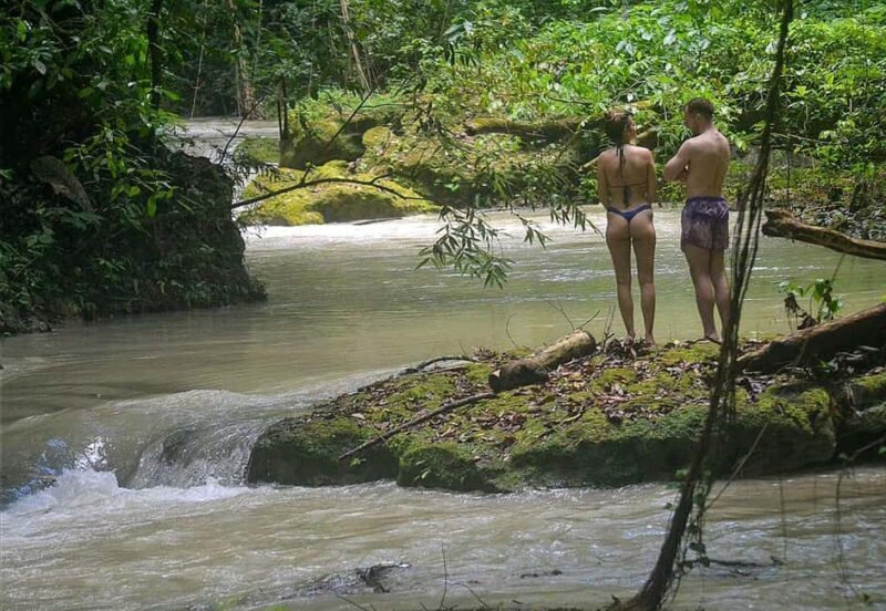 Earth Family Farms: Collier Gully Holistic River Nature Hike - FAQ