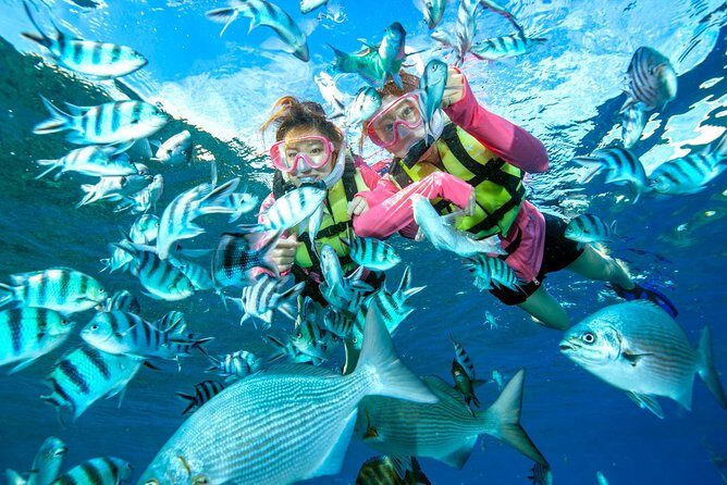 Easily set sail by boat! / Blue cave snorkel - Practical Tips for Booking and Participation