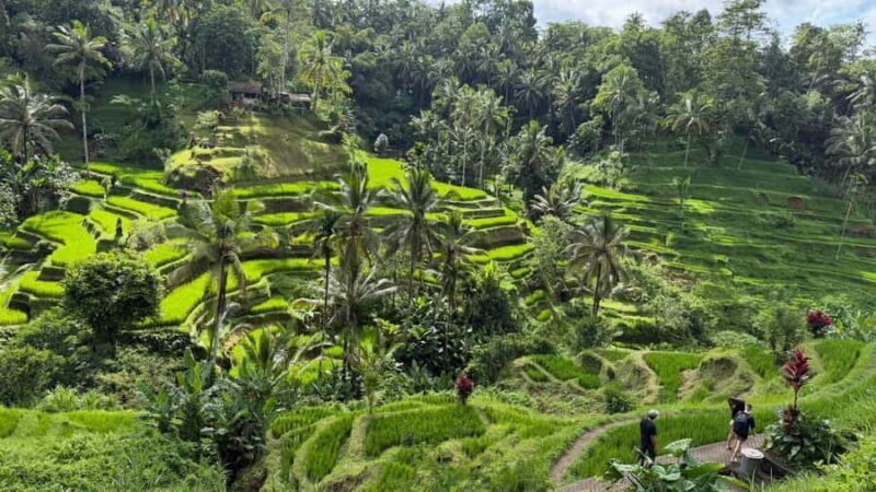 East Bali: Bali Bestie Full Day Tour - Discovering East Bali with Your Bali Bestie