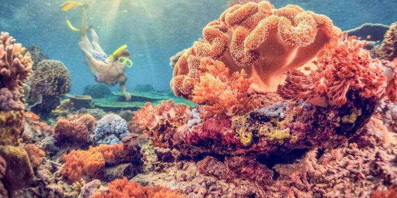 East Bali: Snorkeling Day Trip to Amed - Key Points