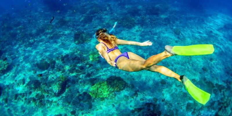East Bali: Snorkeling Day Trip to Amed - Who Will Appreciate This Tour?