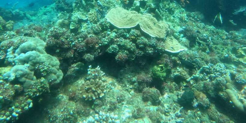East Bali: Snorkeling Day Trip to Amed - Final Thoughts: Is This the Right Bali Adventure for You?