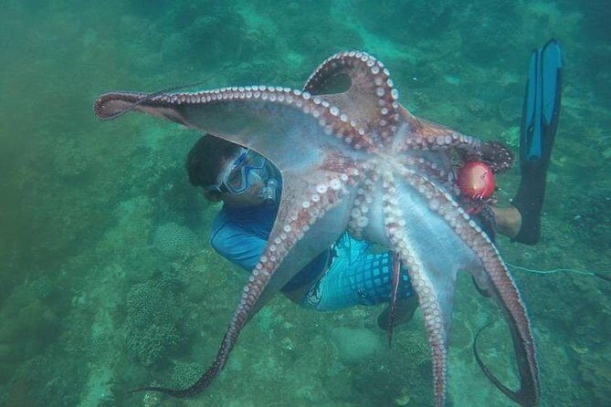 East Bali Spear Or Line Fishing Tour At Virgin Beach - Introduction