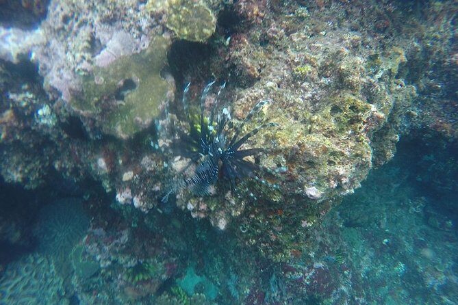 East Bali Spear Or Line Fishing Tour At Virgin Beach - Virgin Beach: The Main Event