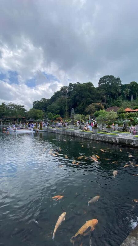 EAST BALI TOUR EXCLUSIVE GATE HEAVEN LEMPUYANG TEMPLE - Introduction: What Makes This Tour Stand Out?