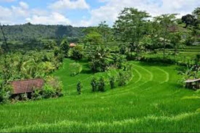East Bali Tour: Gate of Heaven, Water Palace, Sleeping Gajah - The Sum Up