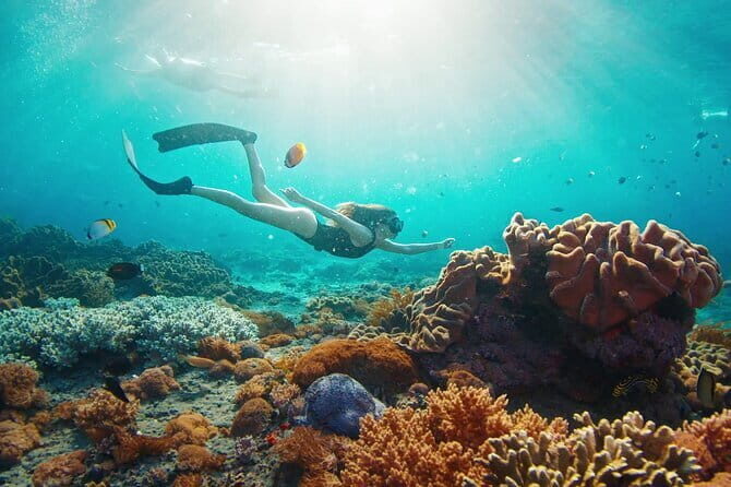 East Coast of Nusa Penida Private Snorkeling - An Introduction to the Experience