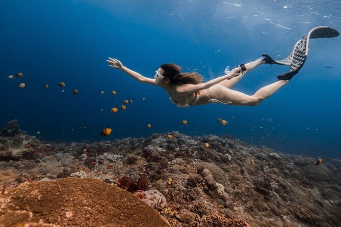 East Coast of Nusa Penida Private Snorkeling - Why This Tour Is Worth Considering