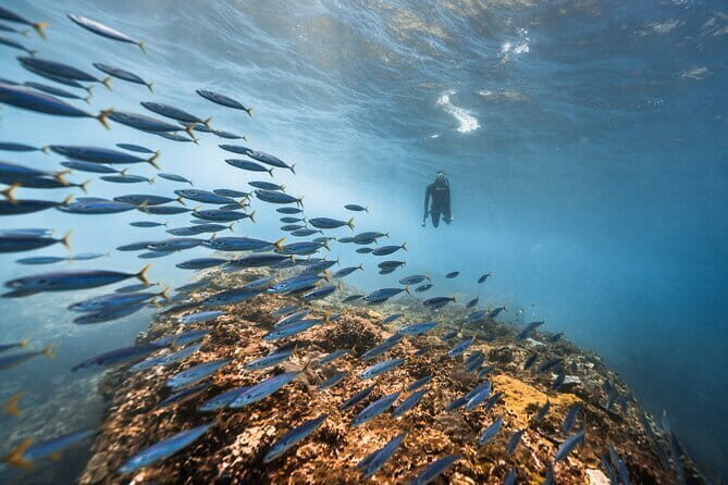 East Coast of Nusa Penida Private Snorkeling - The Experience from the Traveler’s Perspective