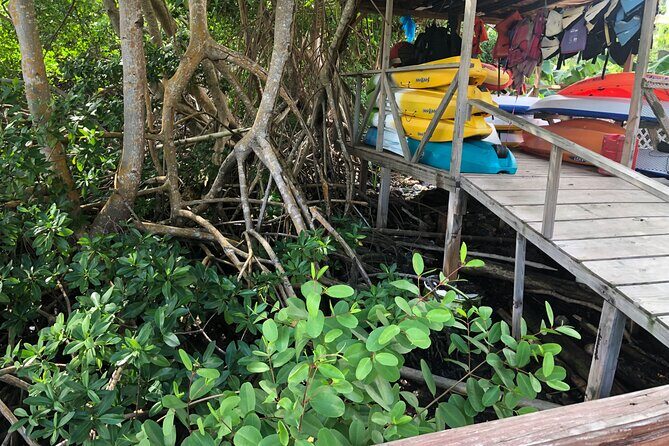 East Coast Private Island Day Trip Kayak & Picnic Experience - Who Will Love This Tour?