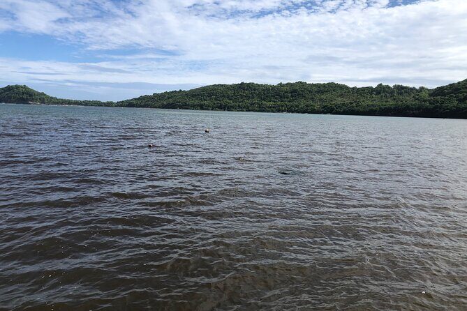 East Coast Private Island Day Trip Kayak & Picnic Experience - FAQ