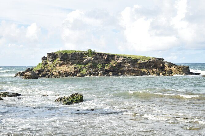 East Coast Private Tour of Barbados - Key Points