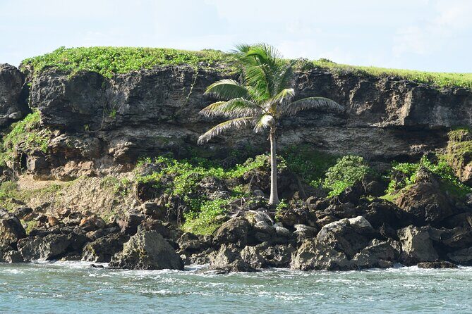 East Coast Private Tour of Barbados - A Deep Dive into the East Coast of Barbados