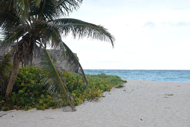 East Coast Private Tour of Barbados - The Sum Up: Is It Worth Your Time?