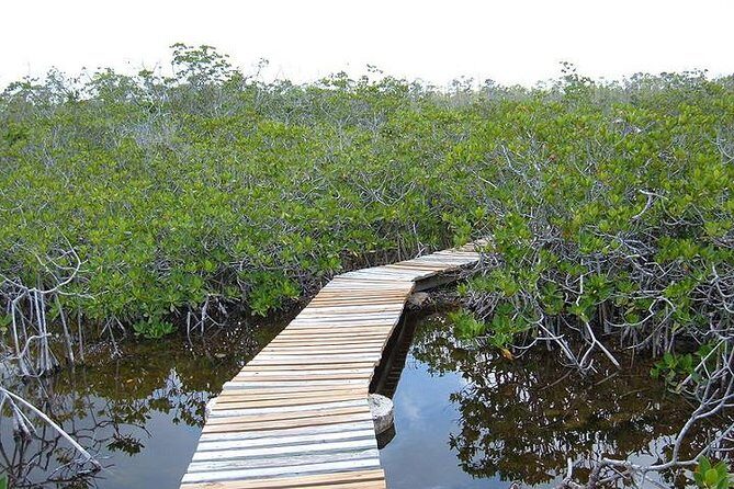 East End Private Day Trip Experience Tour - The Value of This Tour