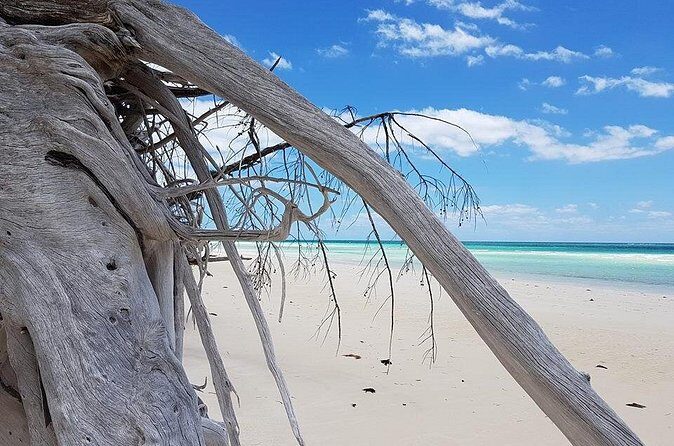 East End Private Day Trip Experience Tour - Who Will Love This Tour?