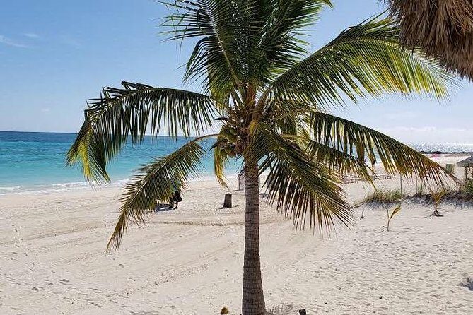 East End Private Day Trip Experience Tour - The Sum Up