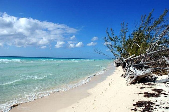 East End Private Day Trip Experience Tour - FAQs