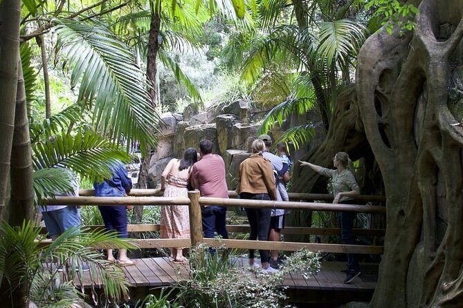 East Honiara Historic World War II Battlefields Tour - The Sum Up