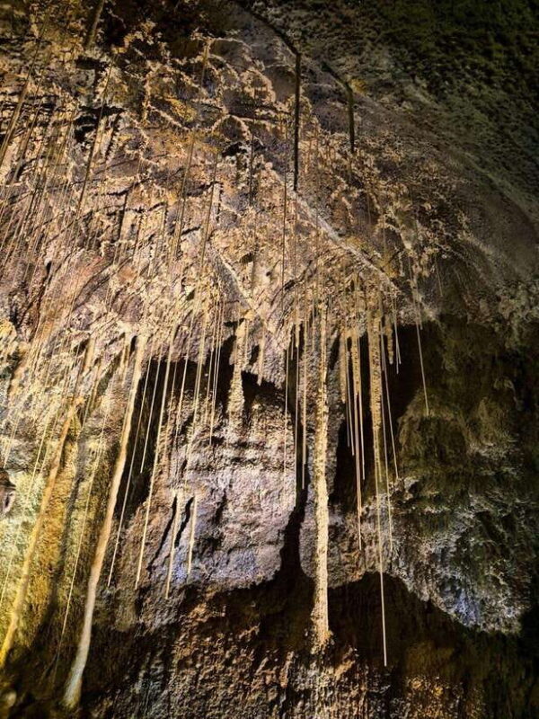 EAST JEJU: All Inclusive Private Tour w/ Taekwondo Show - Who Would Enjoy This Tour?