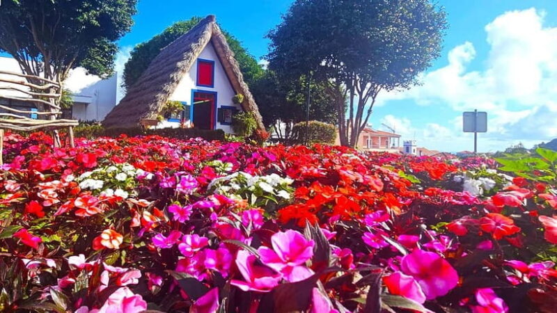 East Madeira: Private Tour with Views & History - Authentic Experiences and Personal Touches