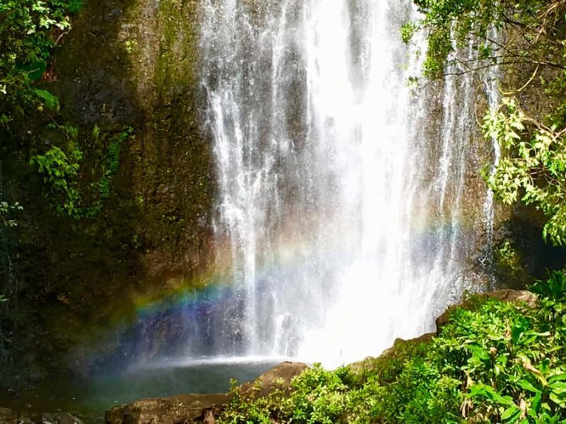 East Maui: Private Rainforest Tour or Road to Hana Loop Tour - An Overview of What to Expect from the Tour