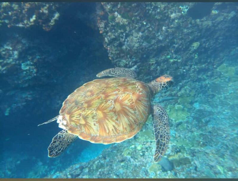 East Nusa Penida Tour & Traditional Cepuk Weaving Experience - Introduction