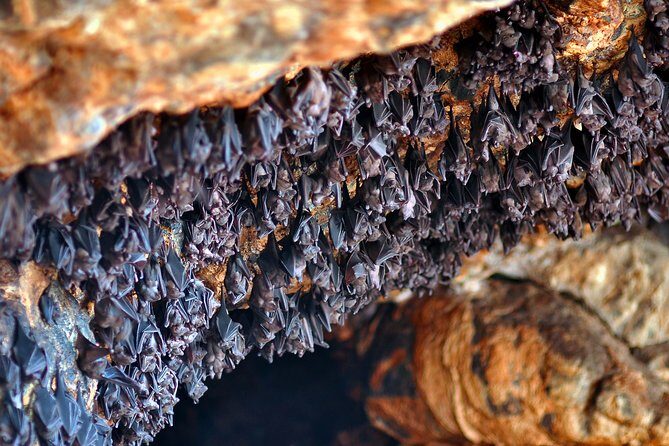 East of Bali - Karangasem Tour - Who Should Consider This Tour?