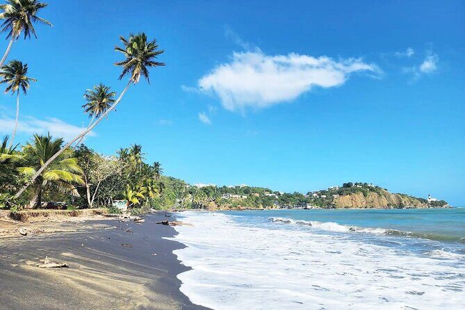 East Puerto Rico's Hidden Gems: Self-Guided Tour - Key Points