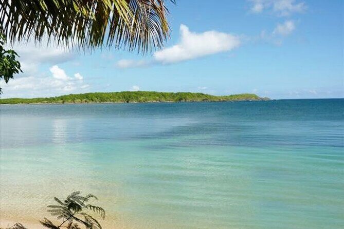 East Puerto Rico's Hidden Gems: Self-Guided Tour - Who Will Love This Tour?