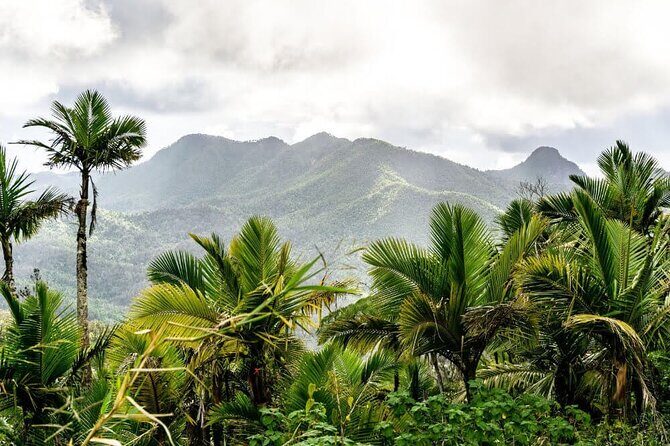 East Puerto Rico's Hidden Gems: Self-Guided Tour - Final Thoughts