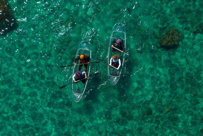 East Shore Clear Kayak Tour - The Experience on the Water